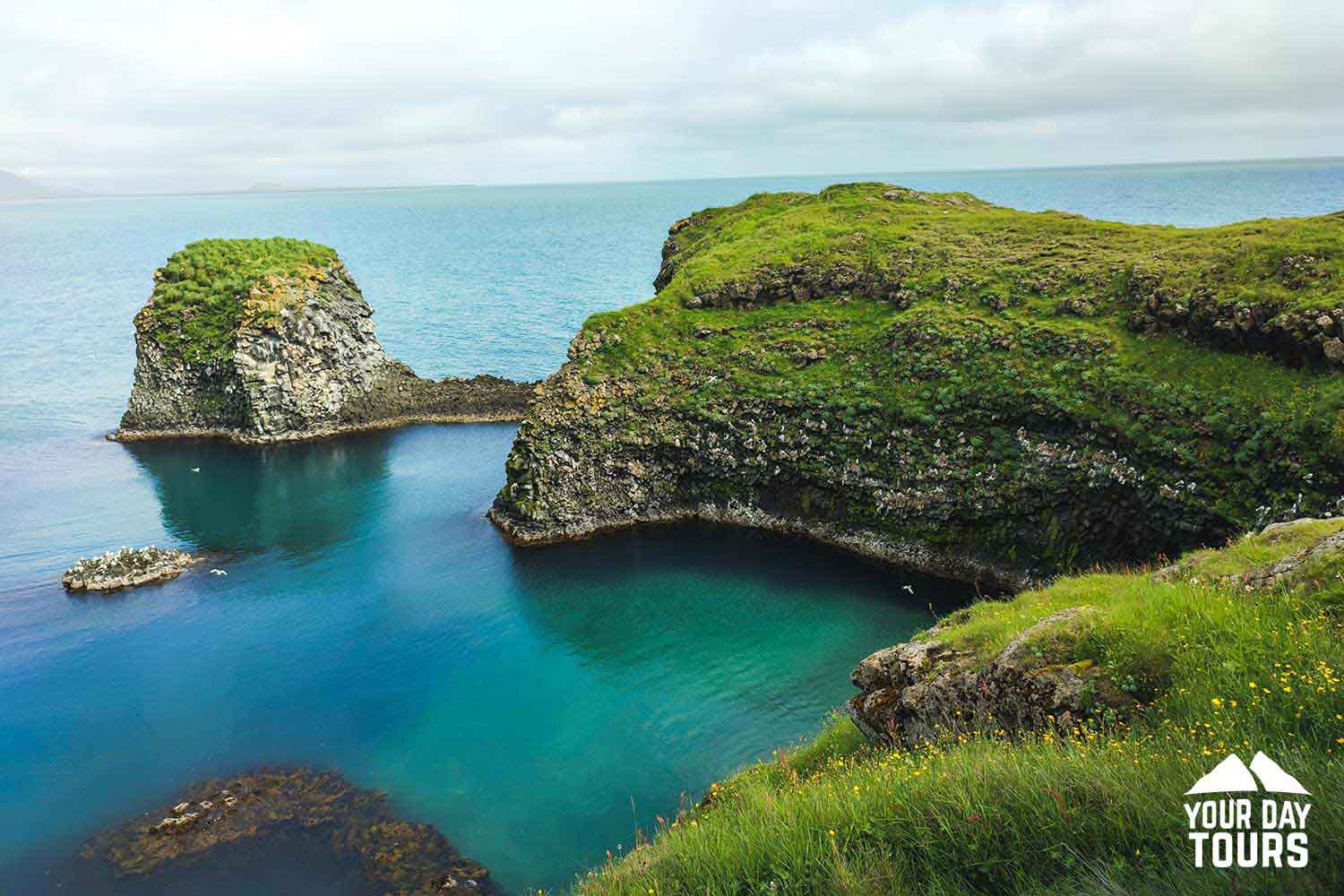 Arnarstapi Town | Attraction| Your Day Tours