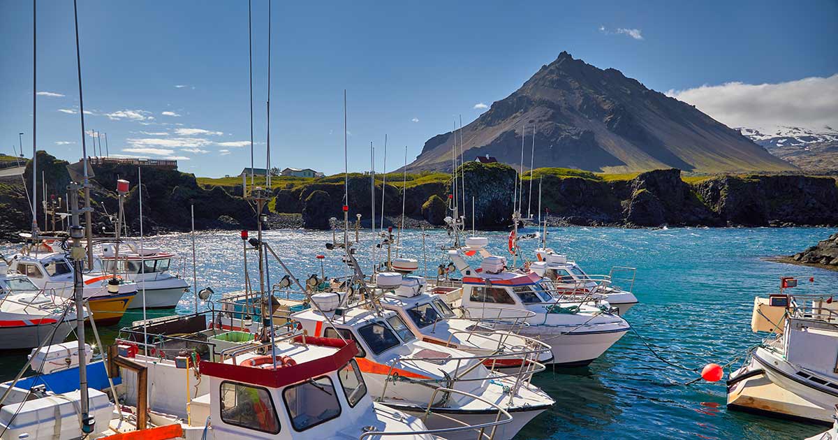 Arnarstapi Town | Attraction| Your Day Tours